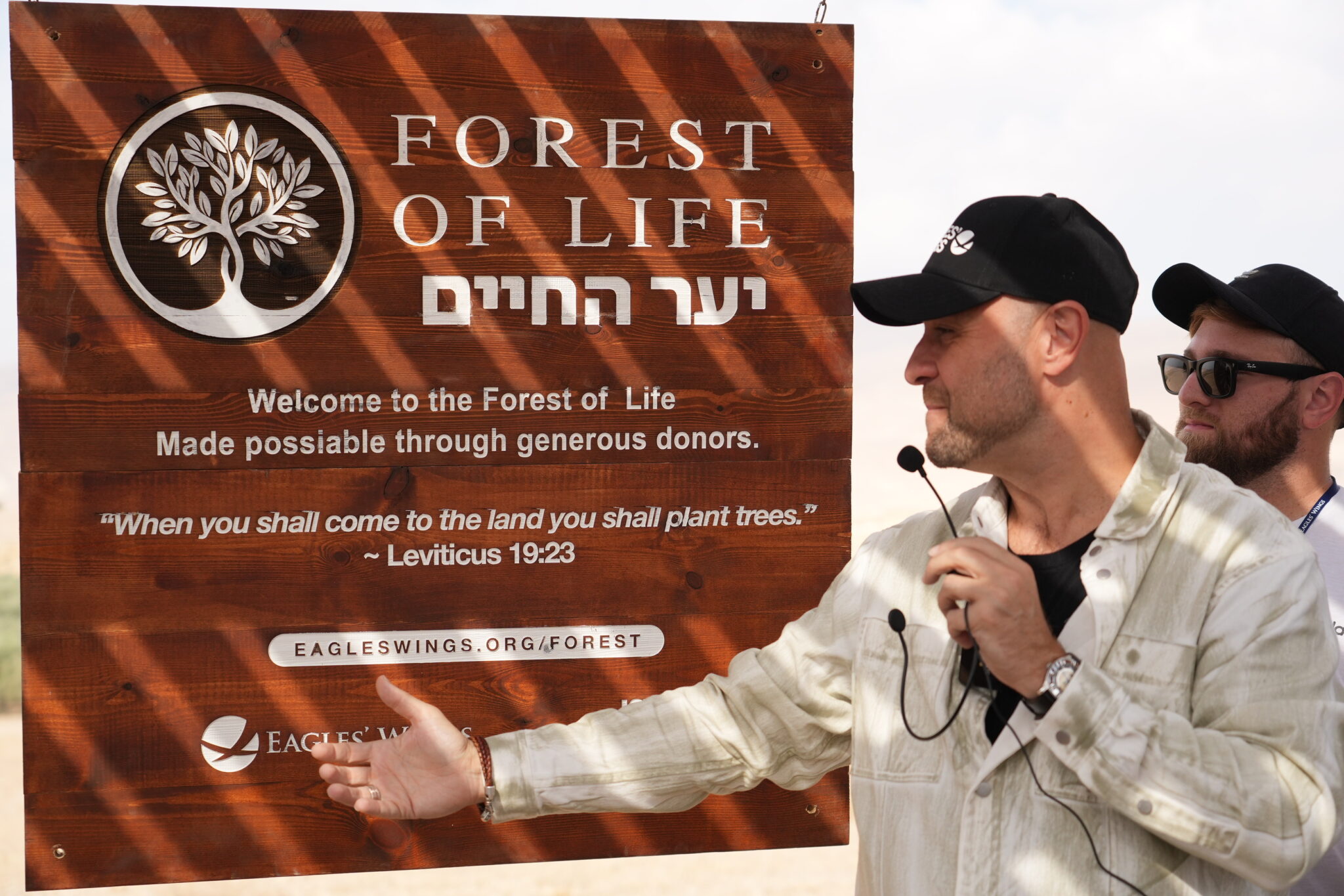 Forest of Life - Eagles' Wings